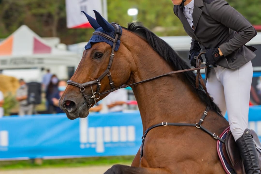Les obstacles en CSO : liste pour enfin les différencier