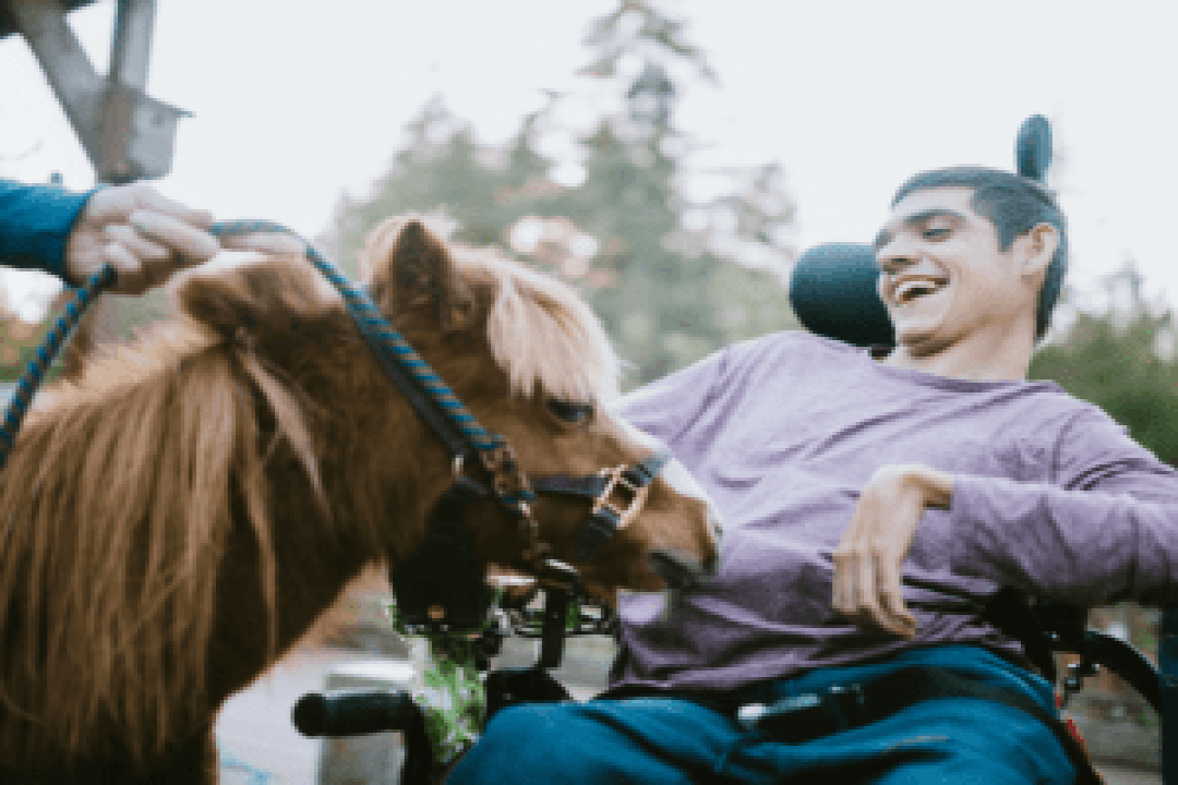 L'équithérapie : histoire et bienfaits | Equidassur