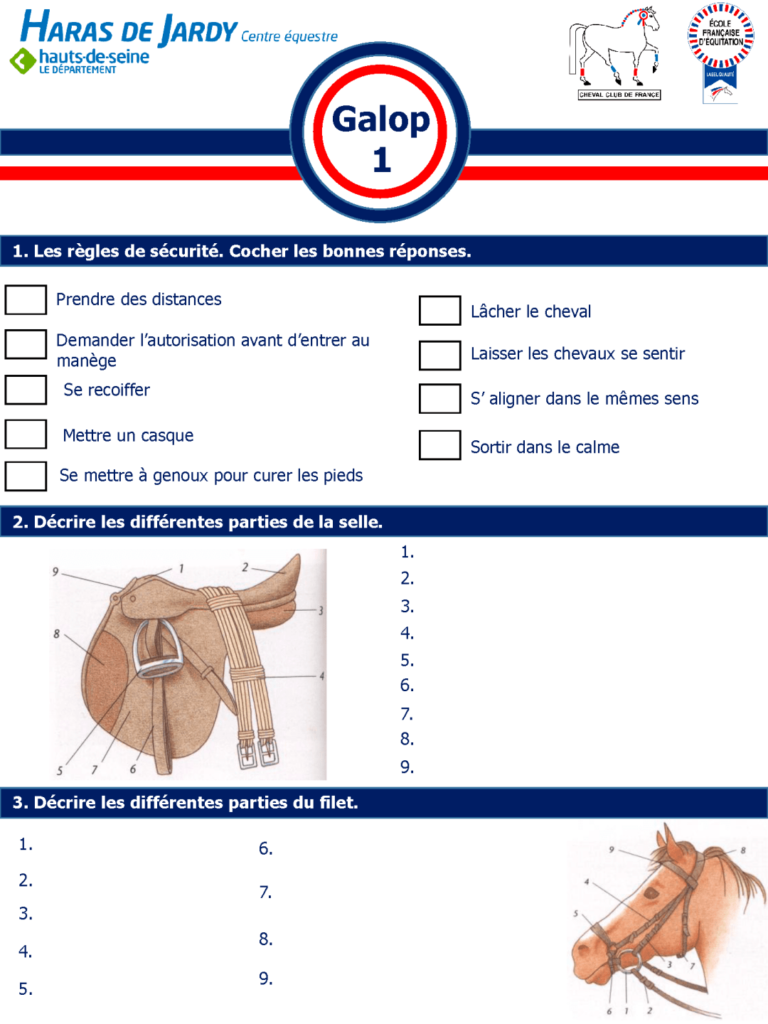 Galop 1 : comment réussir son Galop en tant que cavalier débutant ? - EquidAssur