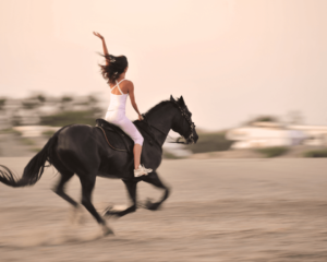 Equidassur - Blog - Comment réussir le passage de son galop 2 ? Tous ...